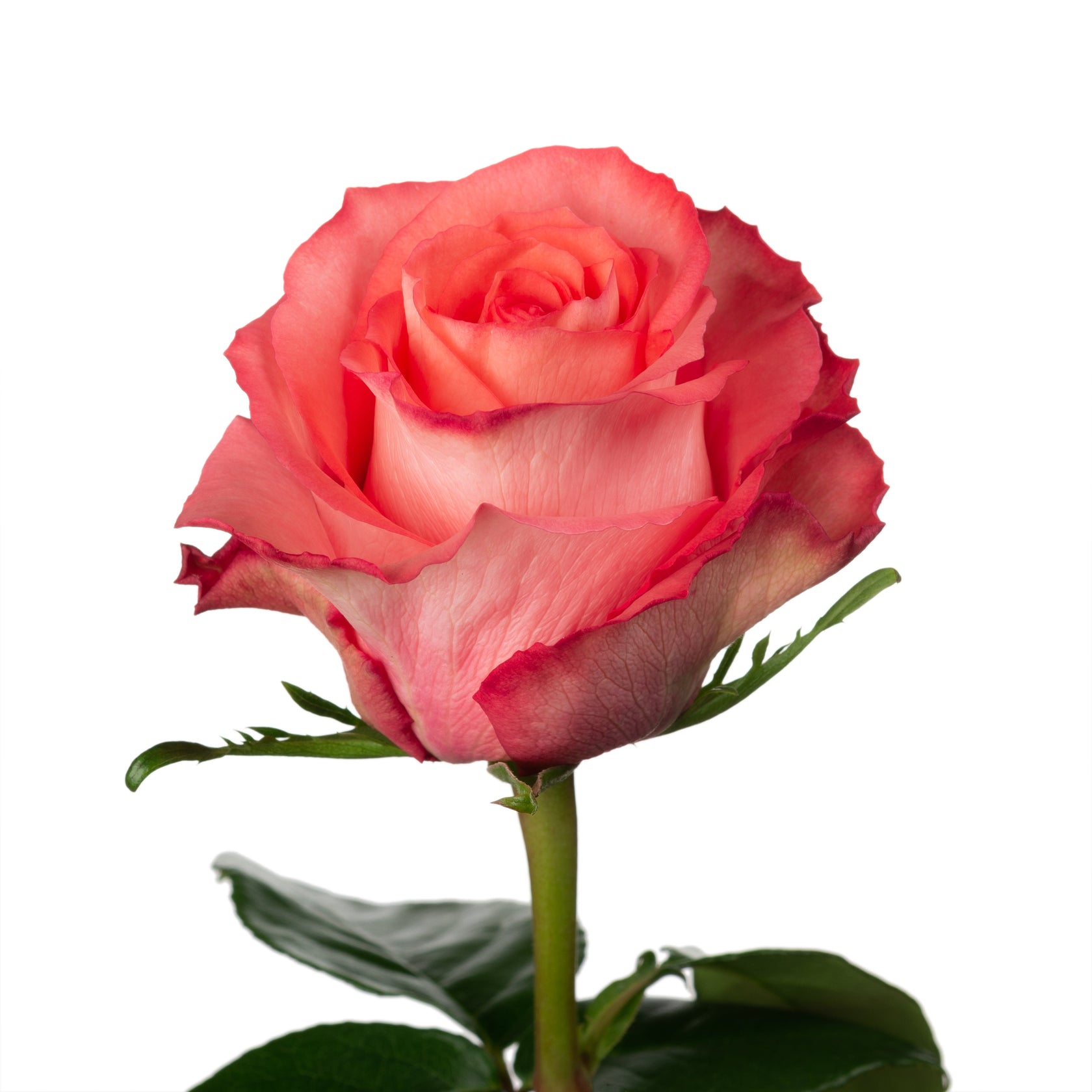 Be Sweet – Botania Flower Boutique