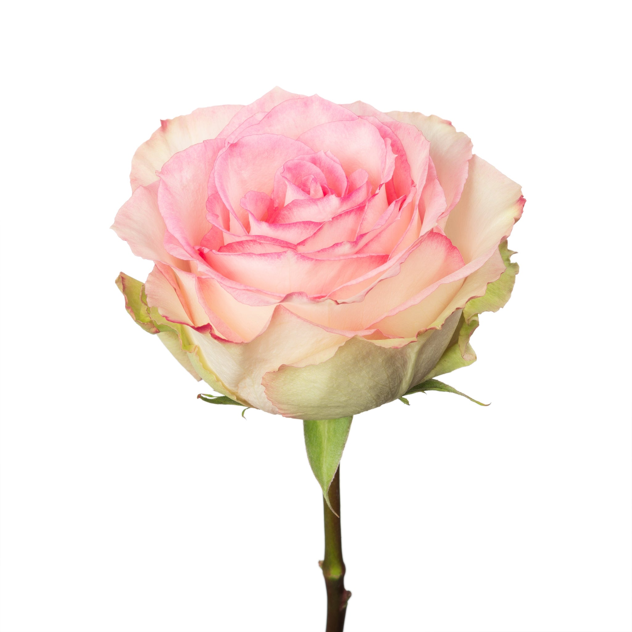 Esperance – Botania Flower Boutique