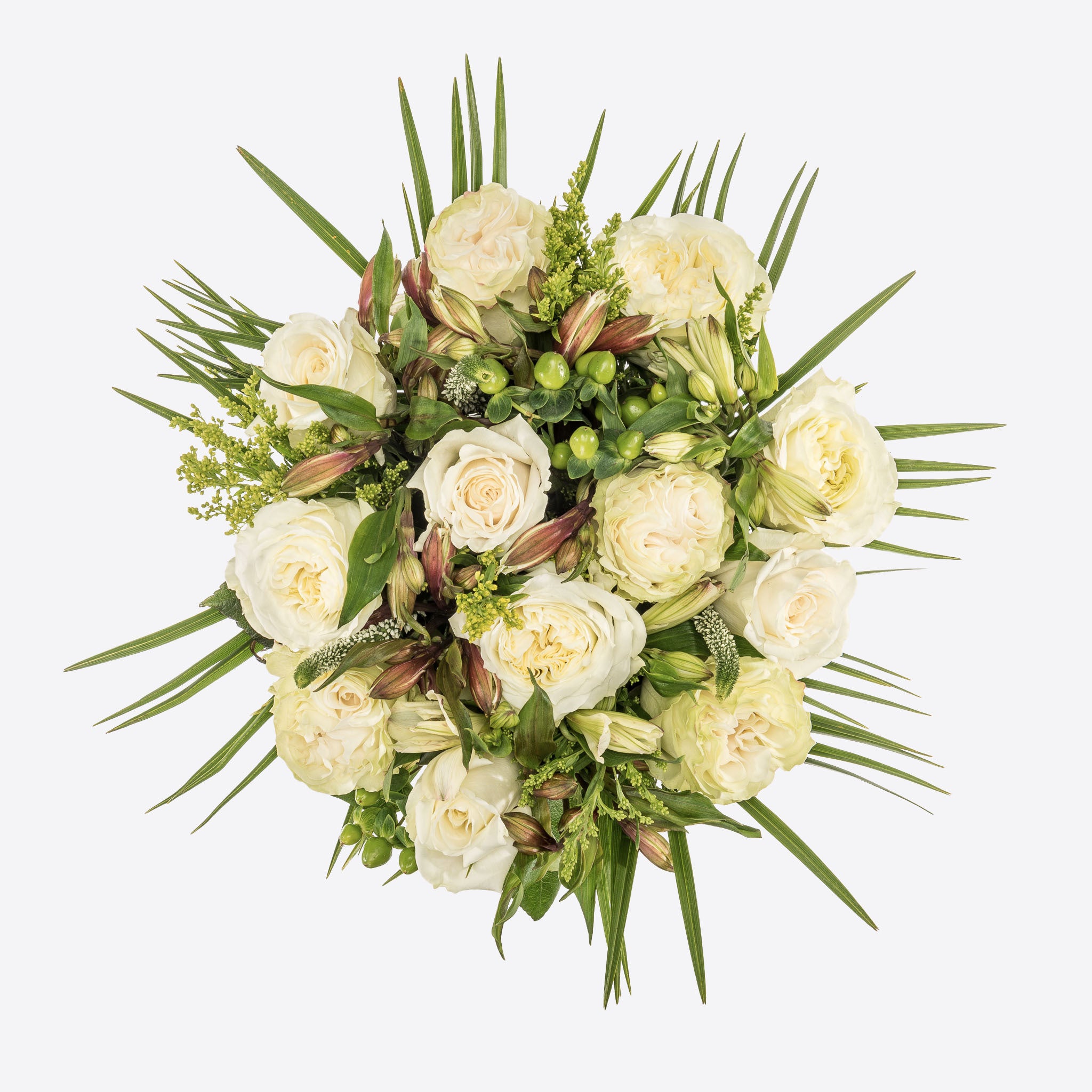 Angel Wings – Botania Flower Boutique