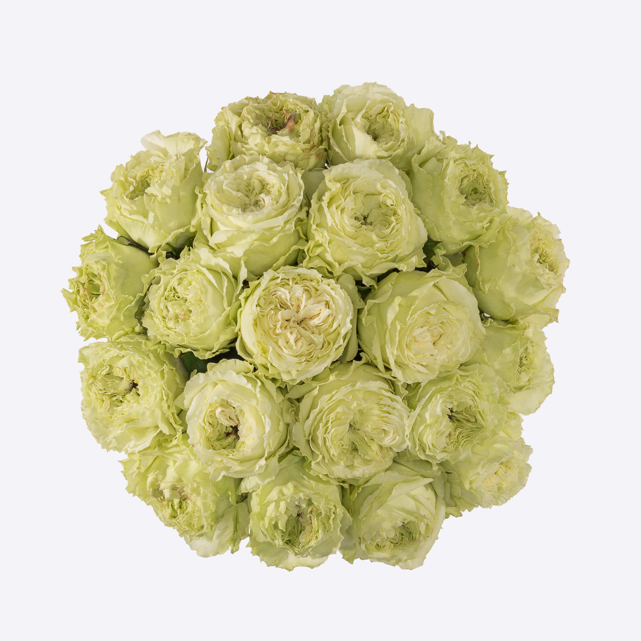 Candlelight – Botania Flower Boutique