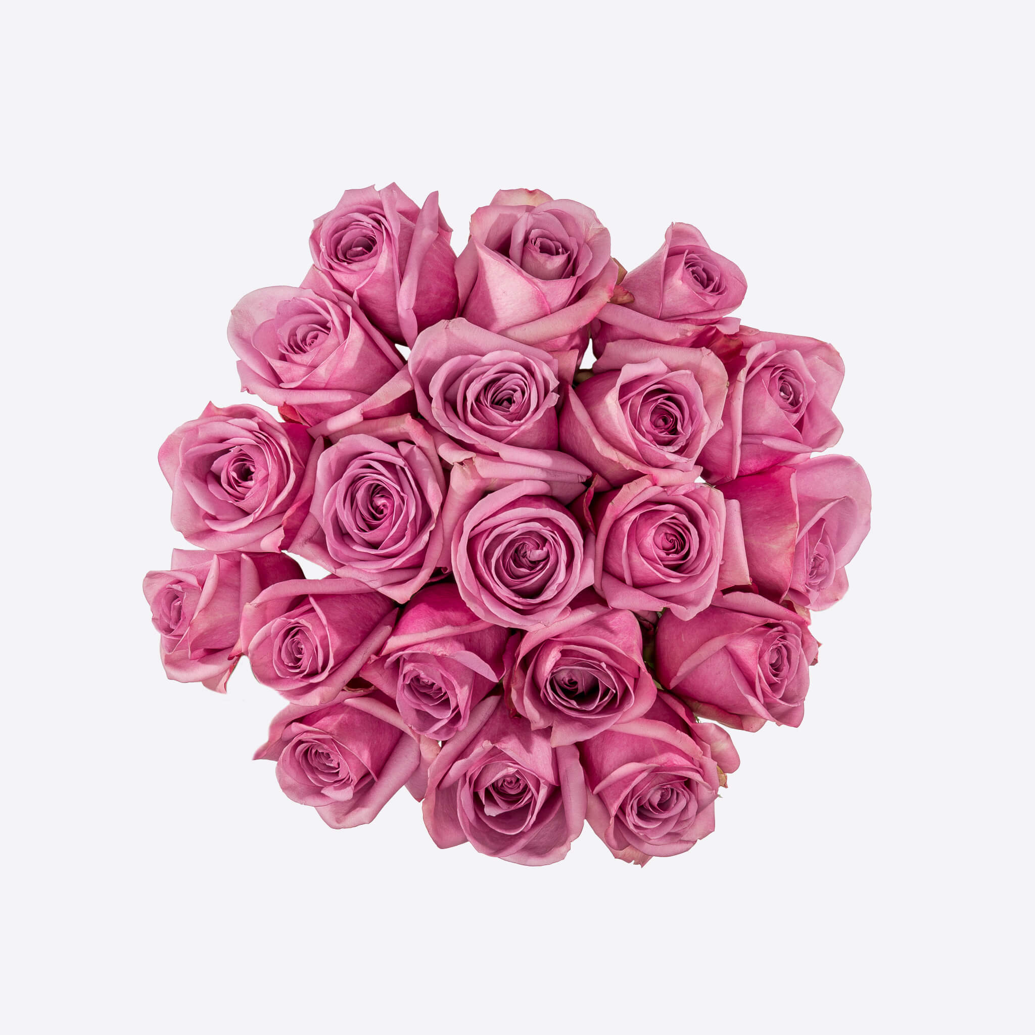 The Fairytale – Botania Flower Boutique