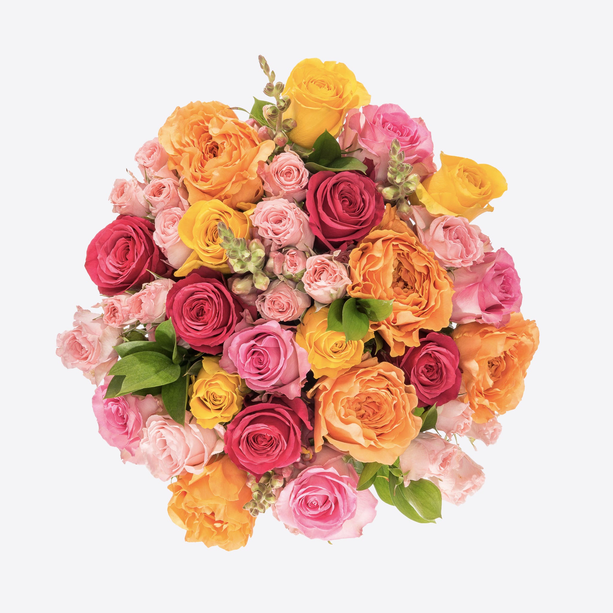 Mayfair – Botania Flower Boutique