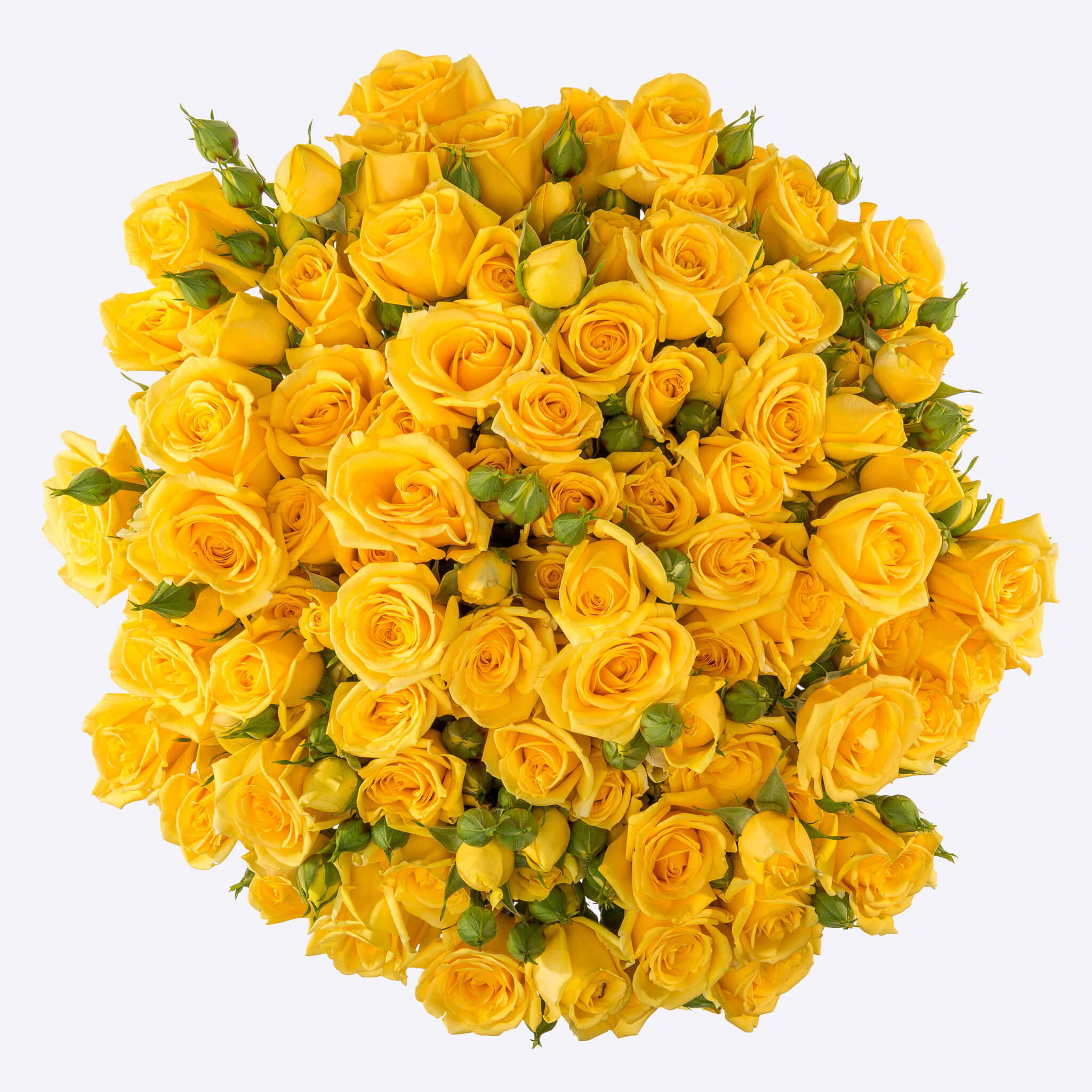 Honeycomb – Botania Flower Boutique